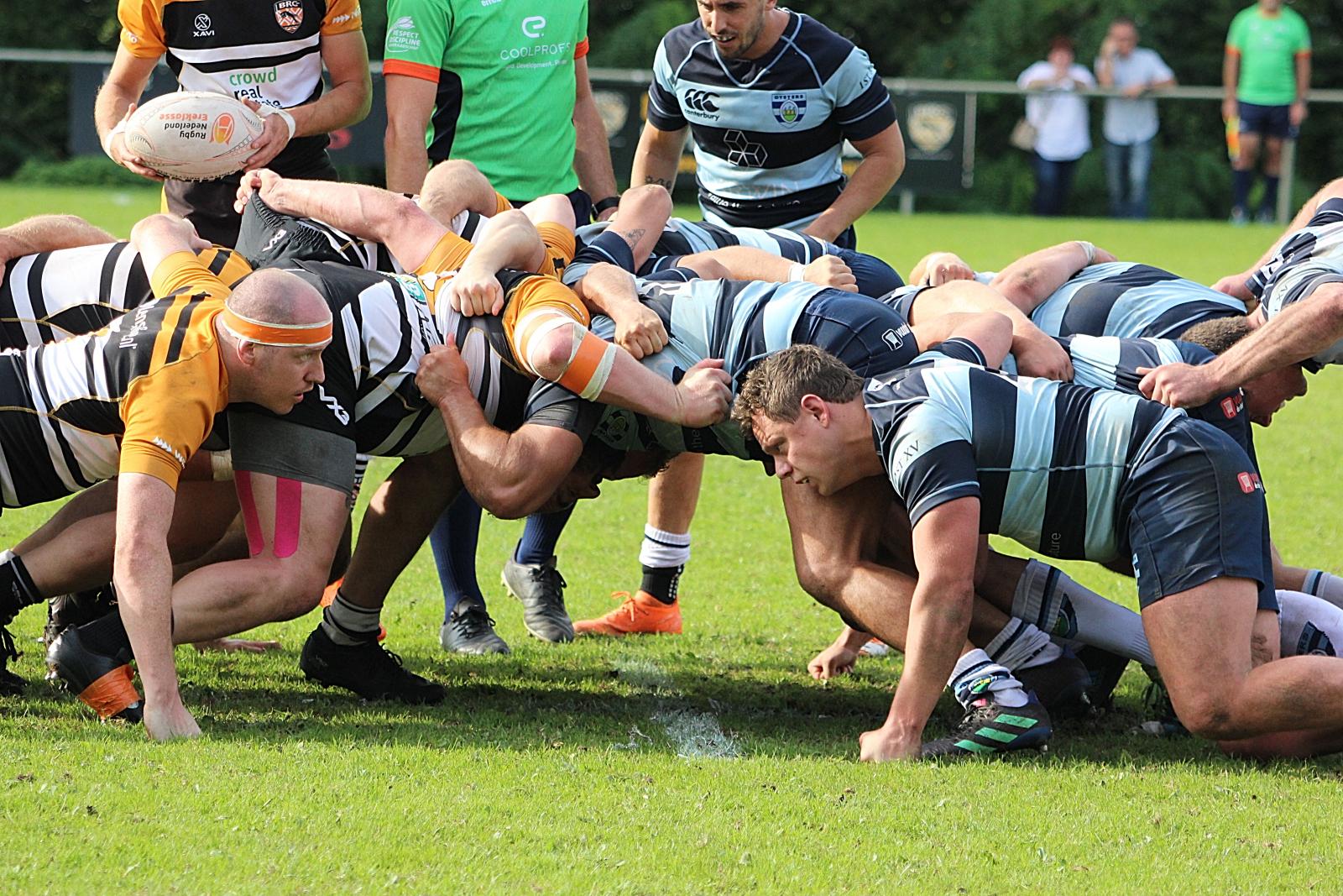 Oysters nieuws detail